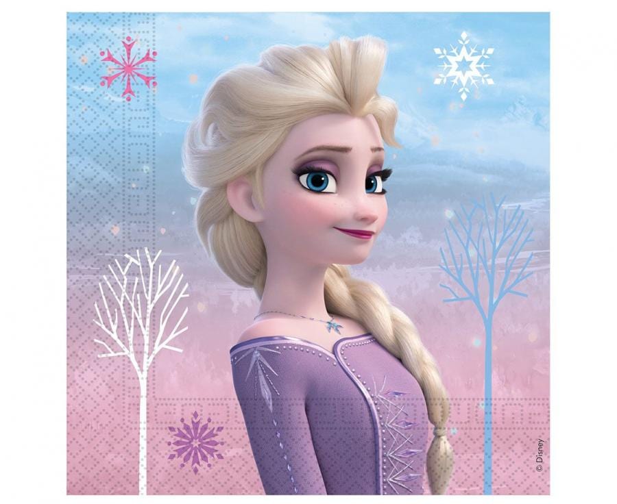 Servetėlės Frozen 2: Wind Spirit | Brain Games LT