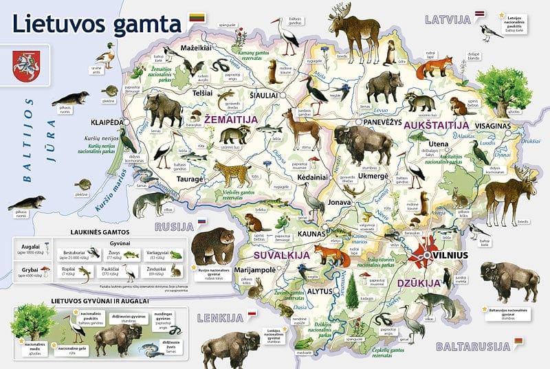 Lietuvos gamta, 100 | Brain Games LT